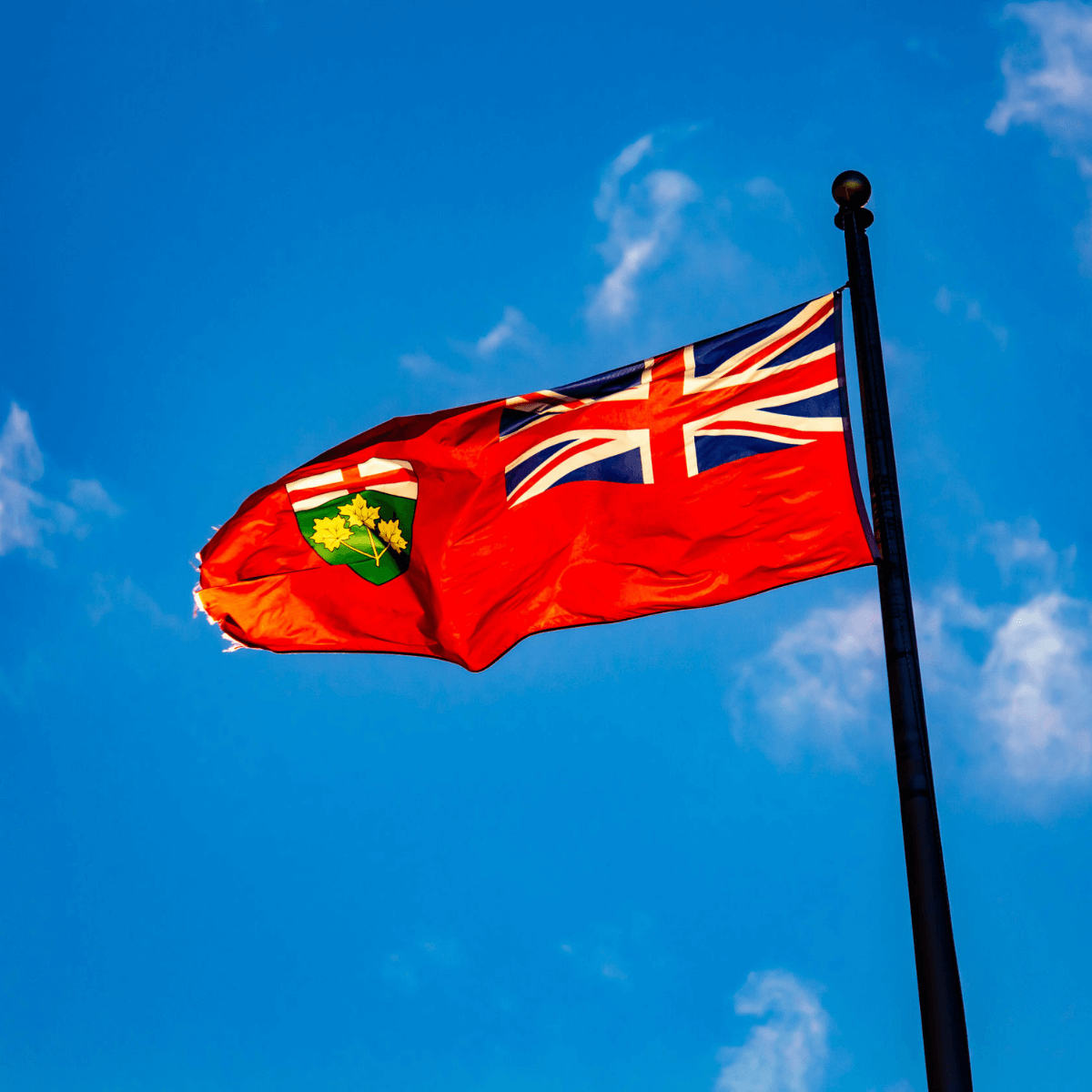 Ontario s Emergency Assistance Program Loans Canada ontario-s-emergency-assistance-program-loans-canada