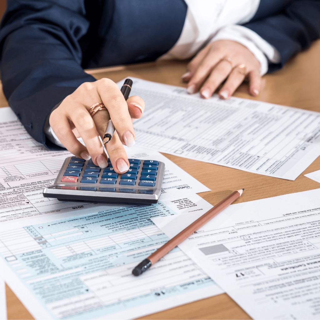 Tax Auditor