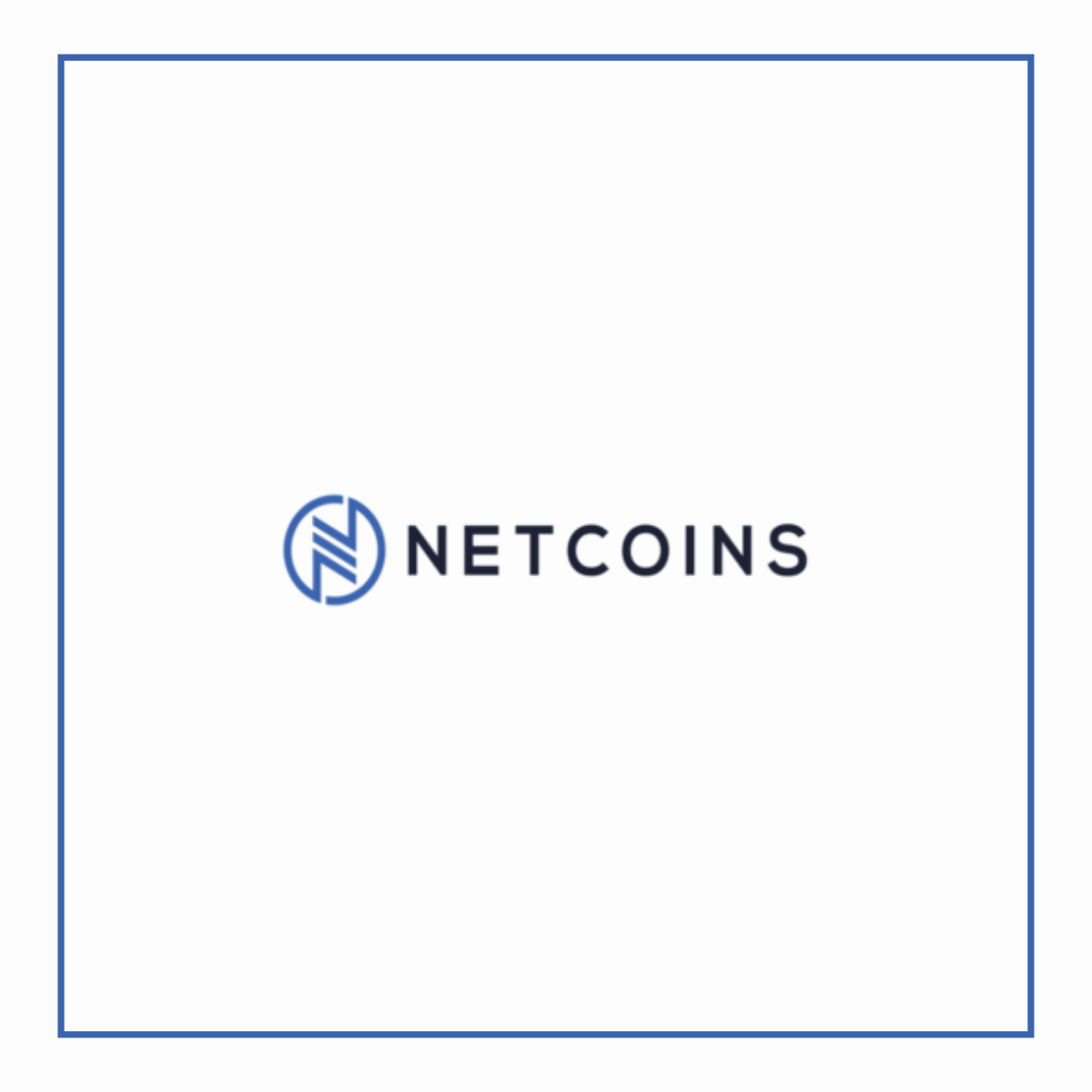 Netcoins Review